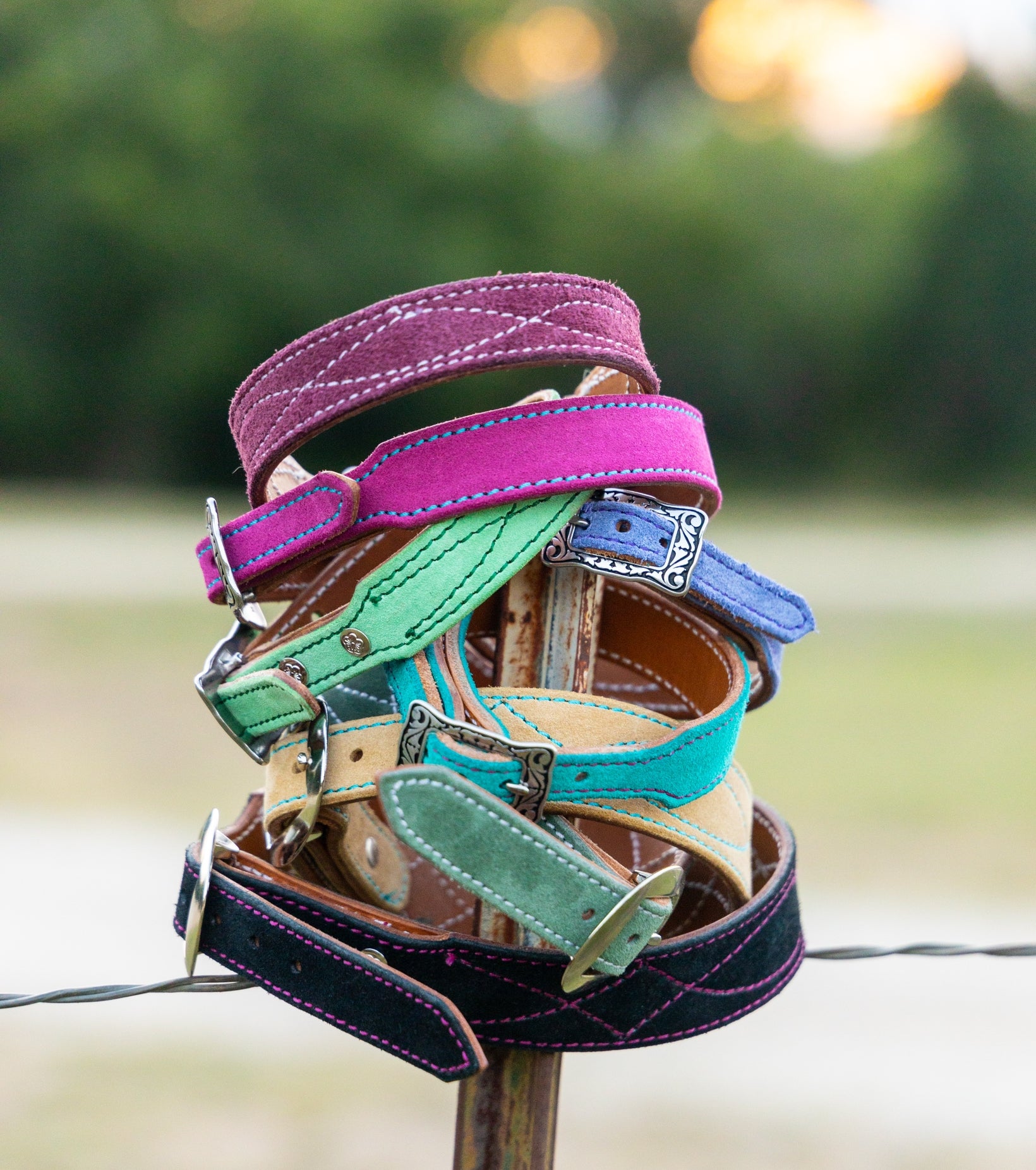 CUSTOM CANINE COLLAR STARTING AT $40.00 – Remuda Leather Co.